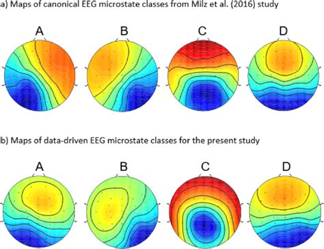 The Topographical Maps For Canonical Eeg Microstate Classes A B C Download Scientific