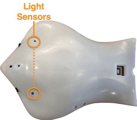 python lesson 6 finch light sensors birdbrain technologies