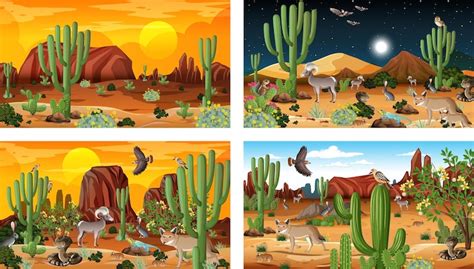 Desert Ecosystem Diagram Desert Plant Drawings For Sale Page 3 Of 8