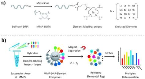 Multiplexed Dna Assays Based On Elemental Tagging And Icp Ms Detection