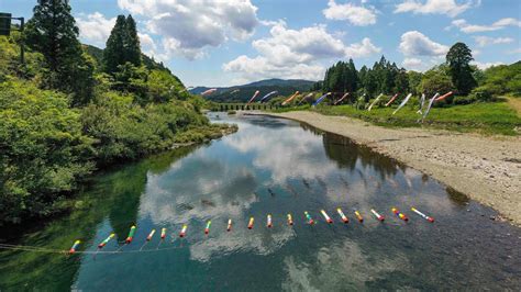 四万十川に丸太の鯉のぼり 四万十町米奥 YouTube