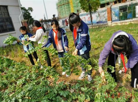 鹰潭市第十二中学开展劳动实践活动 江南都市网