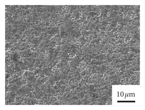 The SEM Photographs Of The Laser Cladding Coatings For Different CeO2 Download Scientific