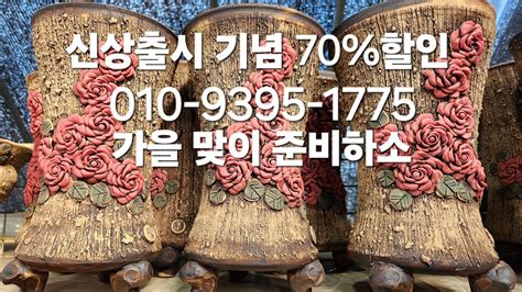 신상 명품 장미화분 70할인행사 다육화분 다육 다육식물 분갈이흙 010 9395 1775 Youtube