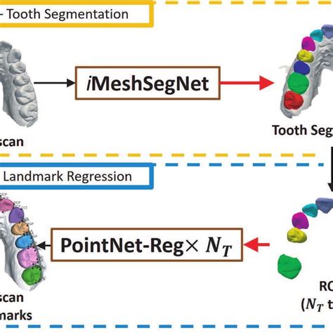 Pdf Two Stage Mesh Deep Learning For Automated Tooth Segmentation And