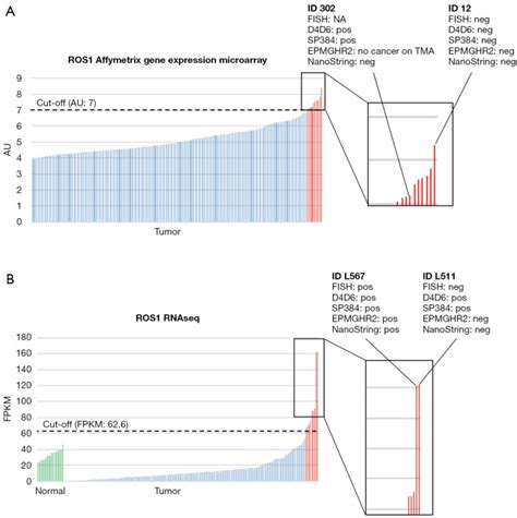 Comparison Of ROS1 Rearrangement Detection Methods In A Cohort Of Surgically Resected Non Small