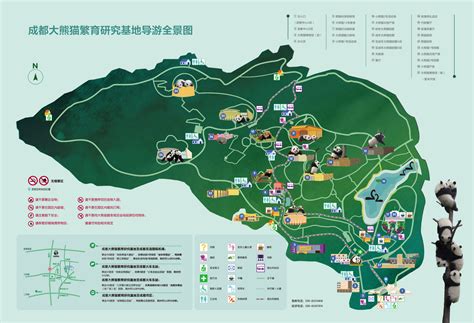 走去成都看团子附成都大熊猫繁殖基地游玩攻略 园区
