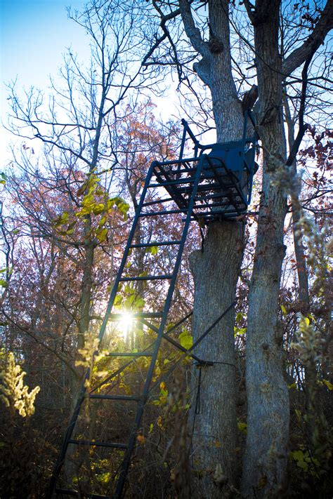 Tree Stand Hunting Harness Safety Tips Blain S Farm Fleet Blog