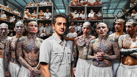 무섭무섭 세상에서 가장 위험한 감옥 실시간 베스트 갤러리