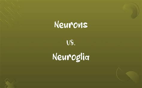 Neurons Vs Neuroglia Know The Difference