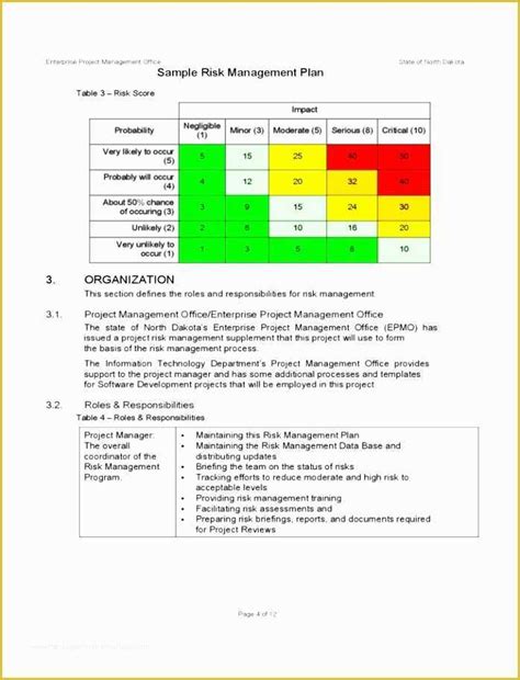 Project Management Contingency Plan Template