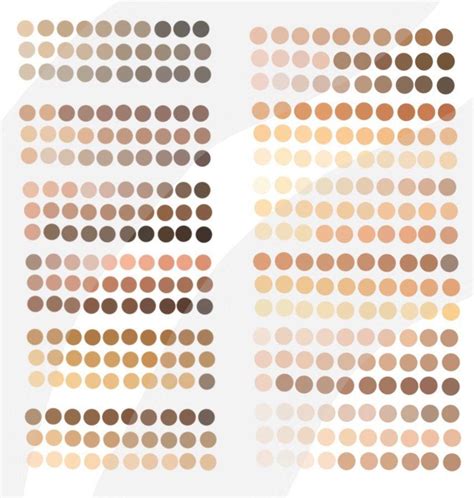 Bundle Of Procreate Skin Tone Palettes Procreate Skin Swatches Procreate Realistic Skin Color