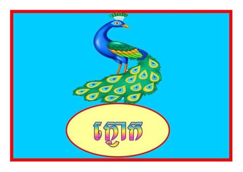 រូបភ សម្ភារឧបទេស សម្រាប់ការបង្រៀន និង រៀន តុបតែងថ្នាក់រៀន