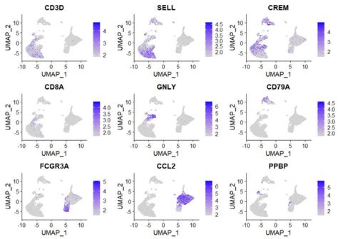 Multidimensional Reduction And Cell Clustering Compbio W1