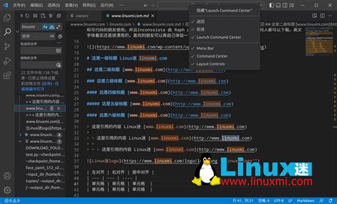 Vs Code 1 73 发布，这些功能很好 Linux迷