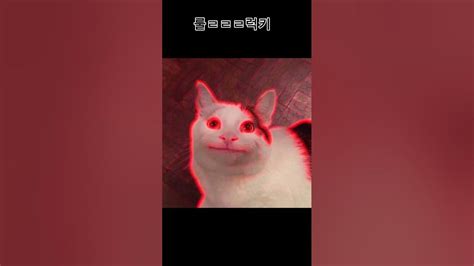 어떤 고양이를 입양할까요 고양이유머스낵 Youtube