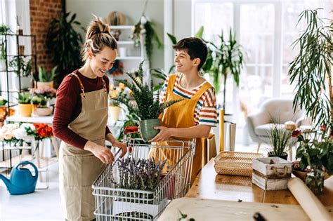 활기찬 꽃집에서 함께 아름다운 꽃꽂이를 만드는 쾌활한 플로리스트 2명에 대한 스톡 사진 및 기타 이미지 2명 긍정적인 감정 표현 꽃 나무 Istock