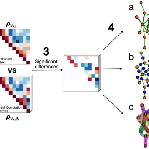 Correlation Guided Network Integration Workflow 1 Vertex Features Download Scientific