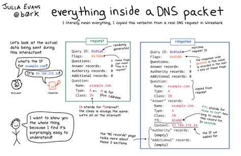 Everything In A DNS Packet