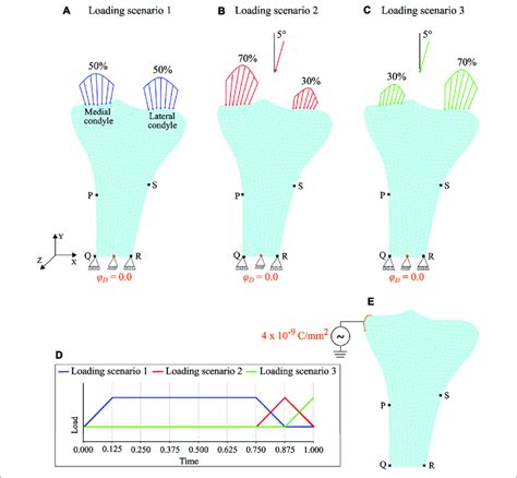 Loading And Boundary Conditions A Loading Scenario 1 B Loading