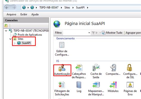 Configurando Iis Em Windows Server Para Utilização Dos Componentes