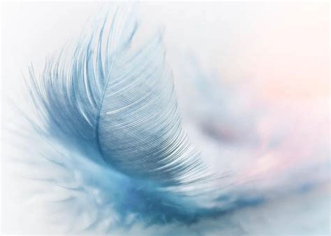 有一种性幻想，叫“强奸幻想” 女性