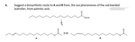 Answered 6 Suggest A Biosynthetic Route To A Bartleby
