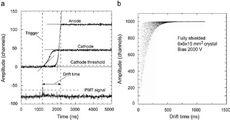 A The Typical Coincidence Signals Captured From The Cathode Anode