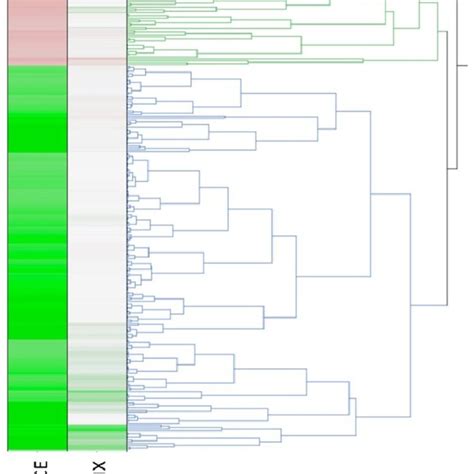 Comprehensive Analysis Of Gene Expression Analysis Of Gene Expression