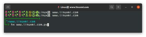 Helix：面向 Power Linux 用户的基于终端的文本编辑器 Linux迷
