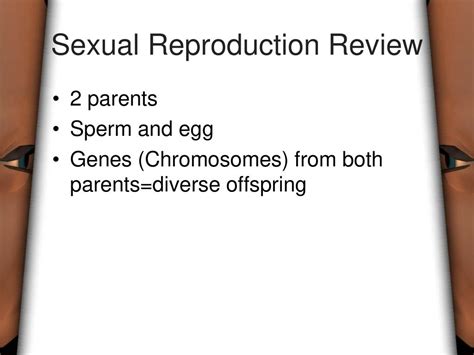 Reproduction The Continuity Of Life Reproduction Sexual Asexual Ppt