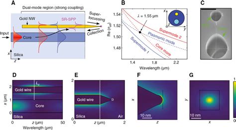Simulated Characteristics Of The Fiber Based Hybrid Plasmonic