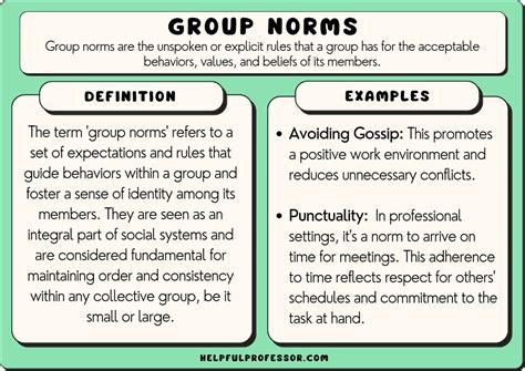 Group Norms 28 Examples Overview 2025