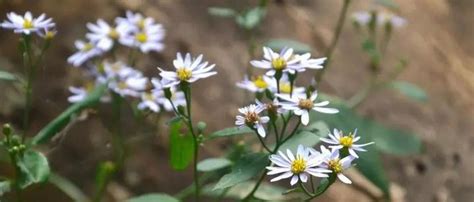 如何在非aspnetcore项目中使用依赖注入 知乎