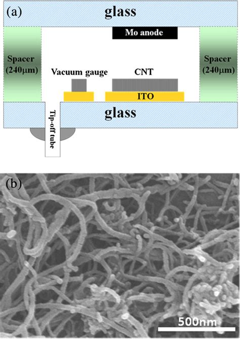 Structure Of Mwcnt Device And Fe Sem Image Of Mwcnt Paste After Heat
