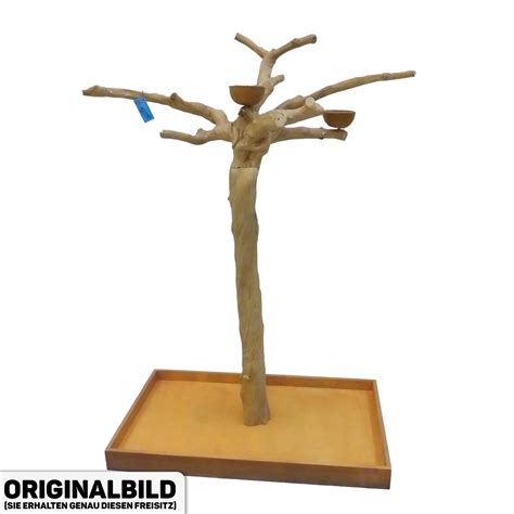 Java Tree From Coffee Wood Medium Bm52749