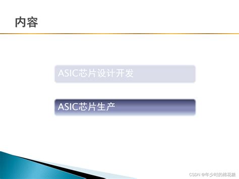 Asic芯片设计与生产 Csdn博客