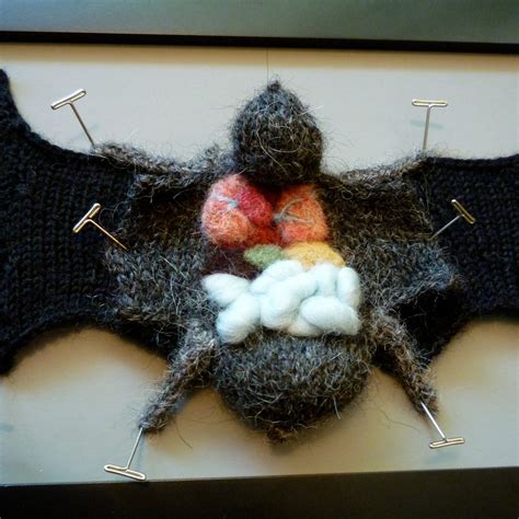 Knitted Dissected Bat Specimen Etsy