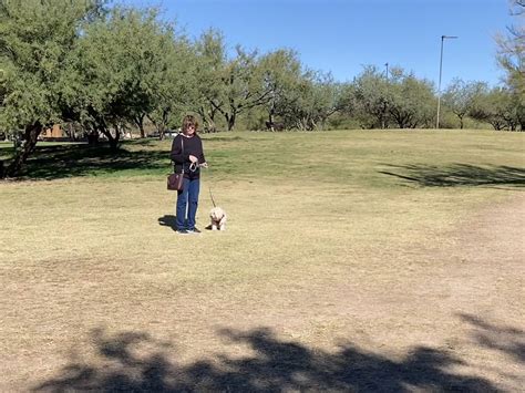Az Oro Valley Riverfront Park Scott185 The Original Flickr