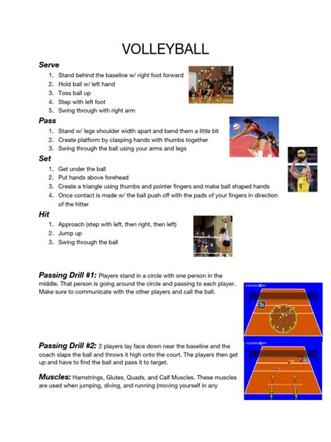Volleyball Assignment Pdf Career And Growth Sports And Recreation