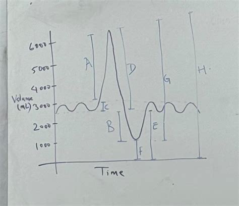 Chapter 37 Practical 2 Diagram Quizlet