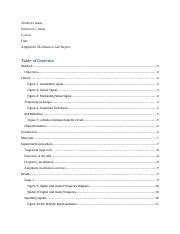Comprehensive Amplitude Modulation Lab Report Copy Docx Babe S Name Instructor S Name