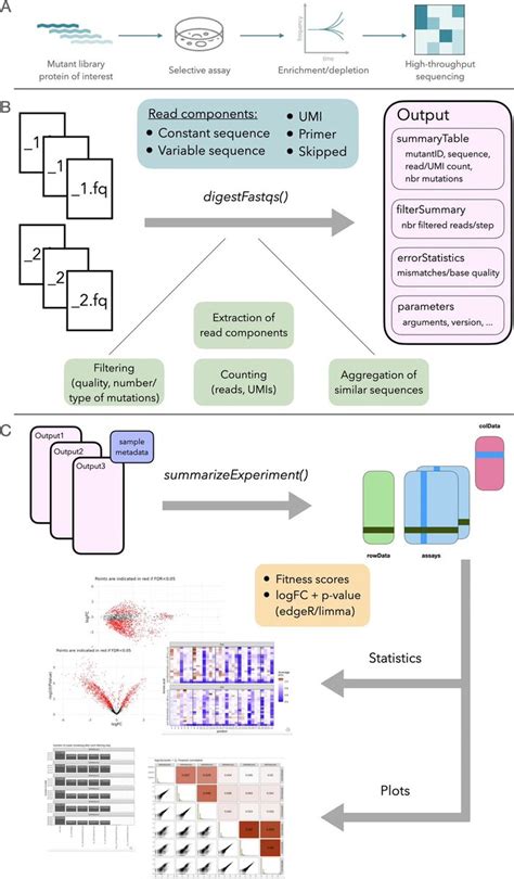Antisense On Twitter Mutscan A Flexible R Package For Efficient End To End Analysis Of