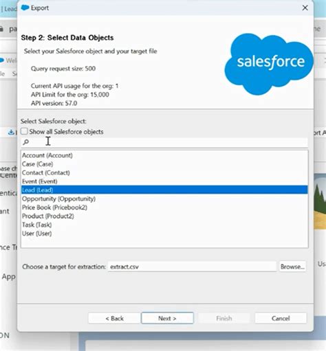 How To Export Salesforce Data To Excel And Keep It Live
