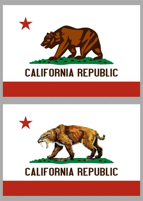 Tim Moran 🤘🏼😎🎸 On Linkedin Thats One Badass Cat 🐈‍⬛ Grizzly Bears Are Awesome But Saber Tooth