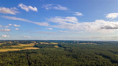 높이에서 소나무 숲 무성한 녹색 소나무 숲을 통해 공중 무인 항공기보기 자연 개념 0명에 대한 스톡 사진 및 기타 이미지 0명 감시 경관 Istock