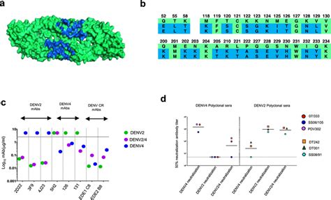 Characterization Of Denv4 126 And 131 Epitope Transplant Rdenv Download Scientific Diagram