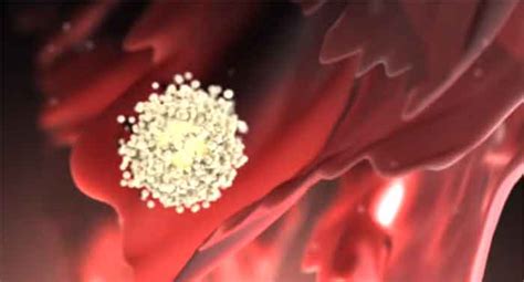 What Is Ovulation How To Know If I Am Ovulating