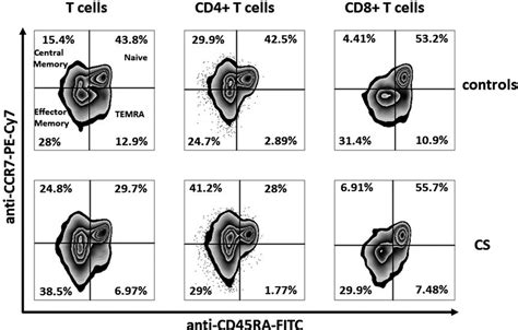 Comparison Of T Lymphocytes And T‐cell Subpopulations In Cancer Download Scientific Diagram