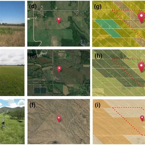 Pearson Correlation Coefficients Among The Canopy Variables Iparcanopy